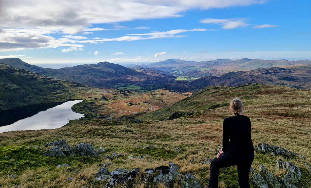 Finding home - by Louise Tilbrook - Everyday Knitter