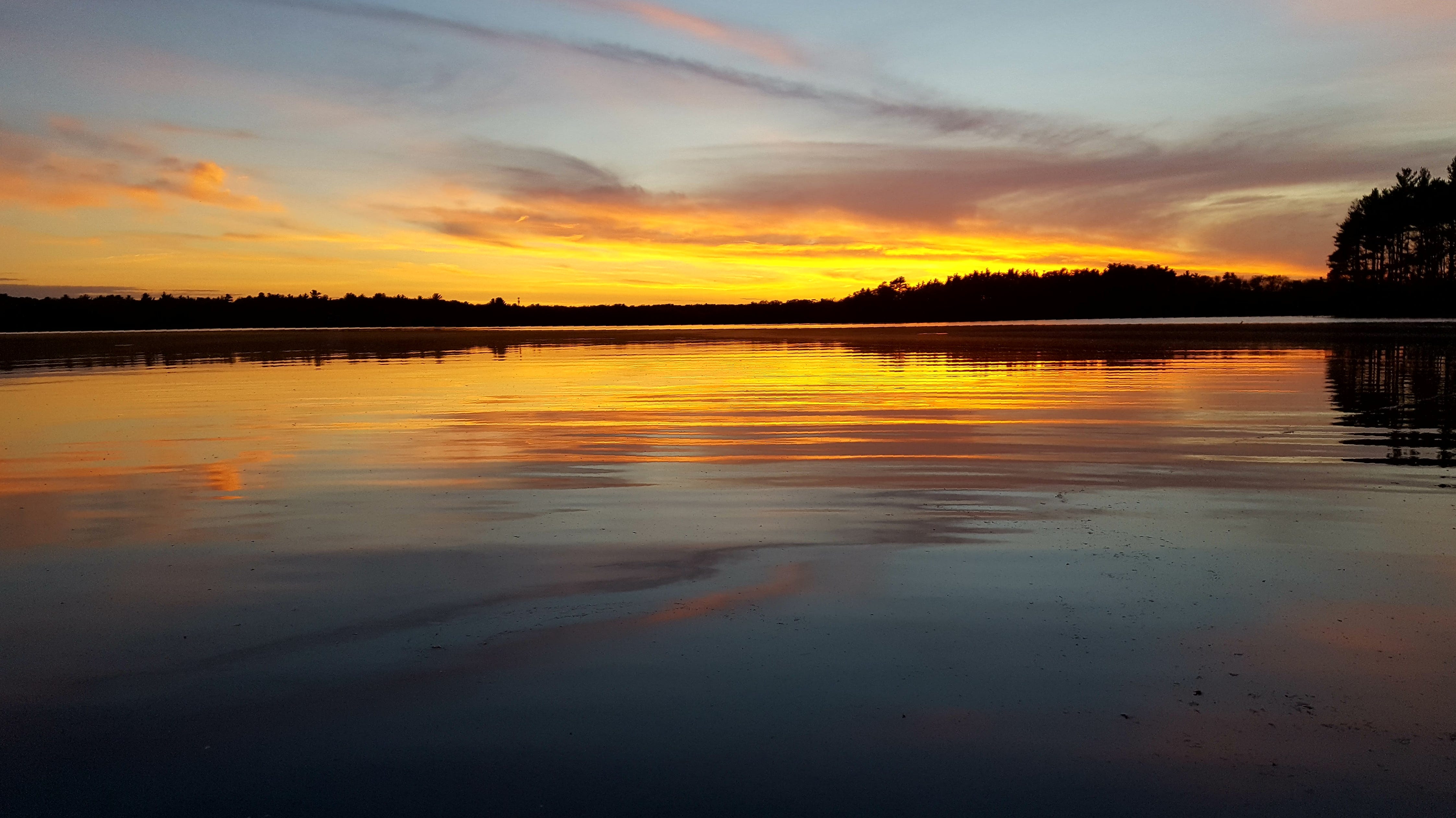 Bridgewater's Lake Nippenicket Threatened By Developer