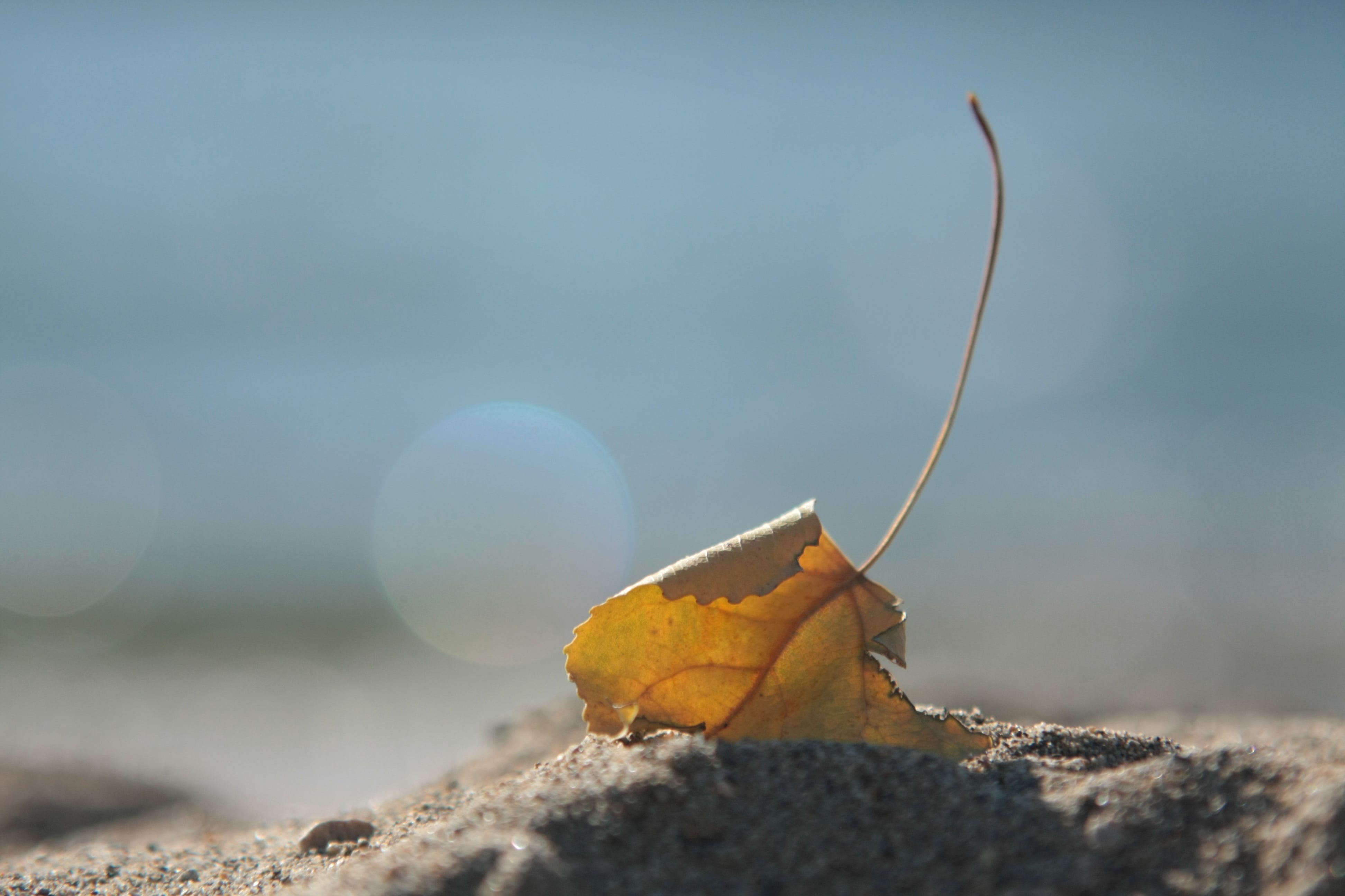 Why y'gotta be so mean? - by JC VINCENT - JC’s Substack