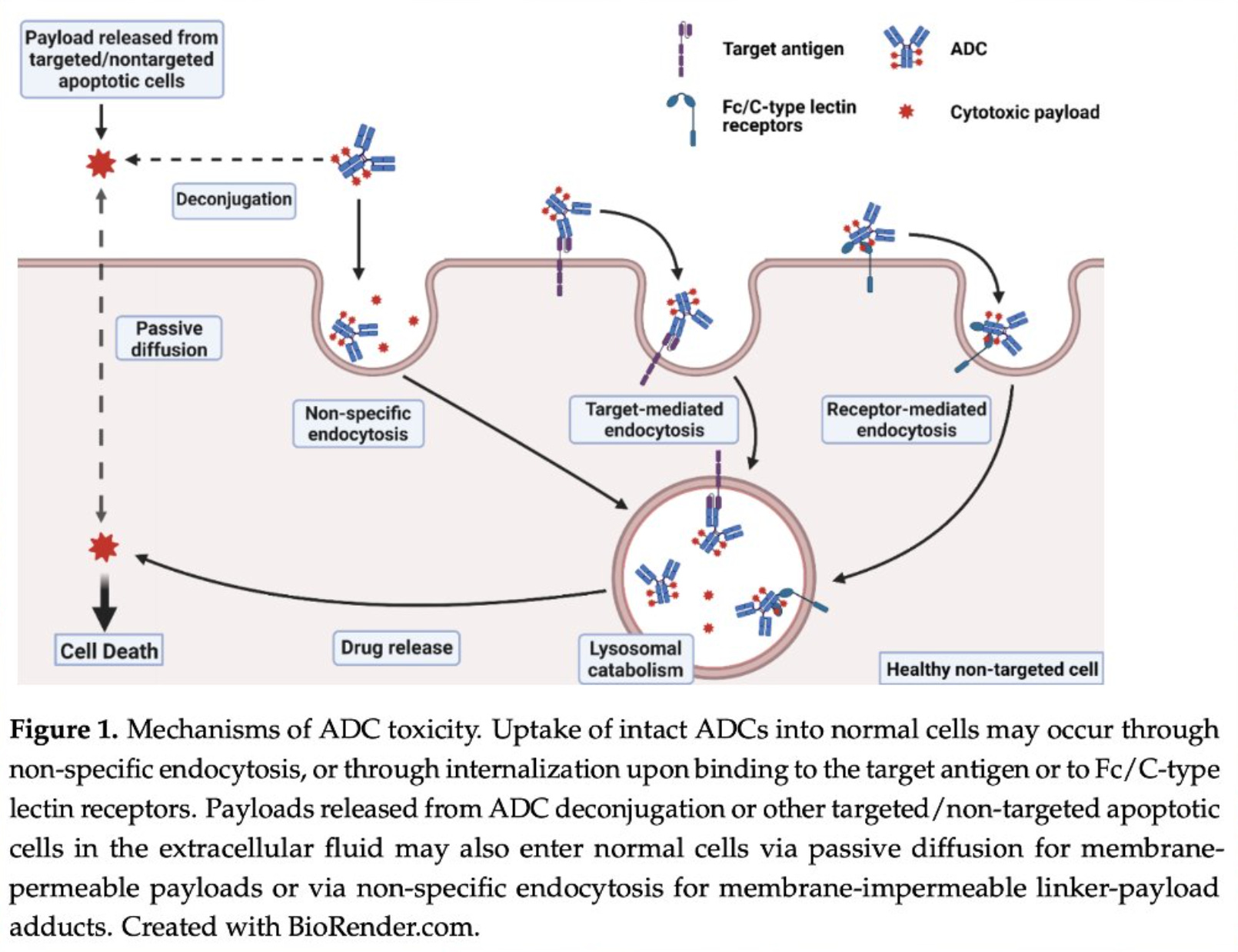 Weekend ADC Musings - Dimension Research