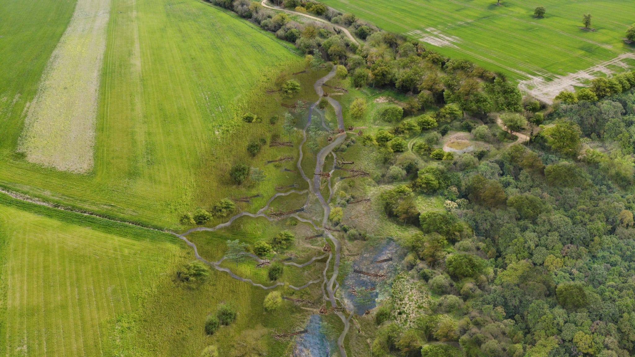 Rewilding London! - Ben Goldsmith