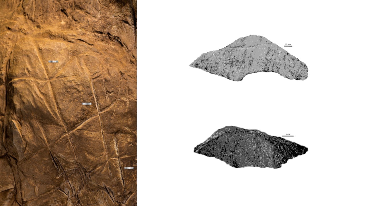 Tools for thought: the first 300,000 years
