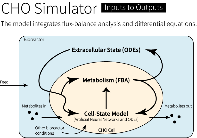 Metabolic Simulator - Asimov Engineering Blog