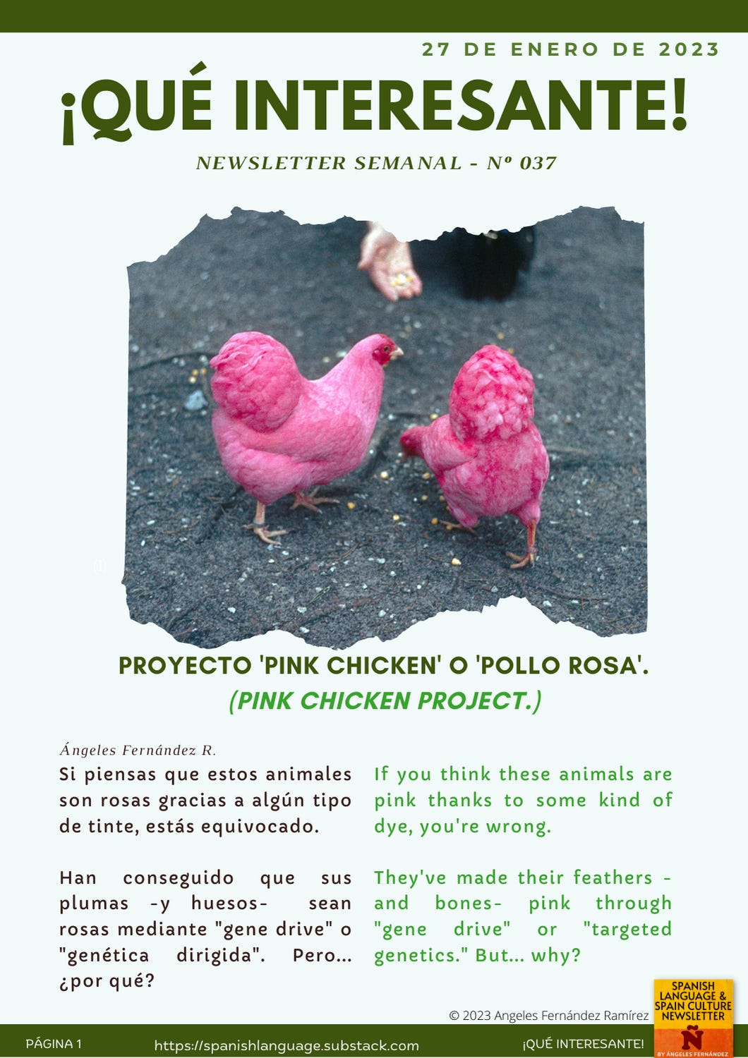 ¡Qué interesante! (How interesting!) #037