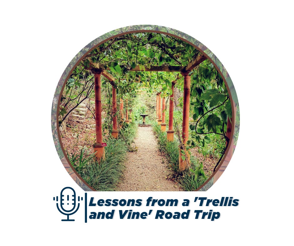 Lessons from a 'Trellis and Vine' road trip