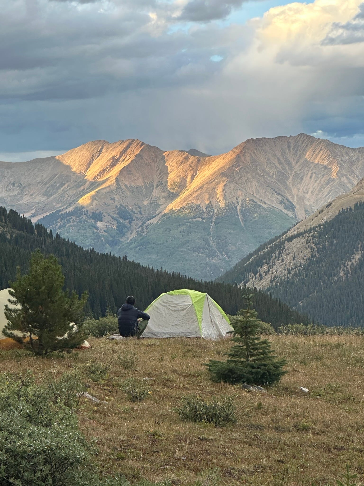 Project 2025 and Public Lands - by Dave Van Manen