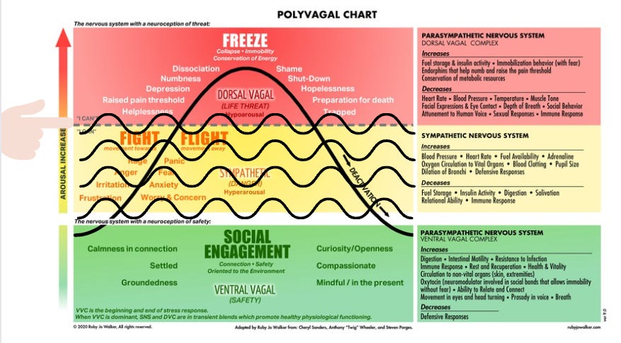 The Neuroscience Behind Trauma Getting Stored in the Body 🧠