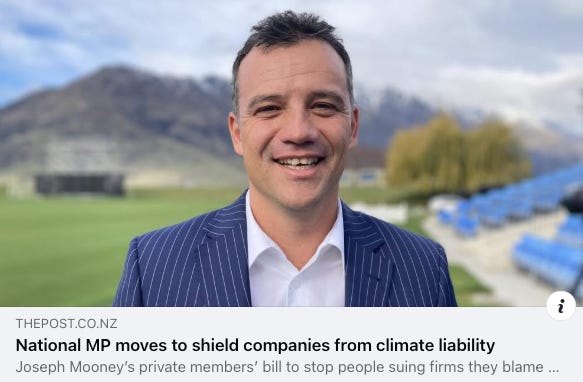 Big Business - by Nick Rockel - Nick's Kōrero