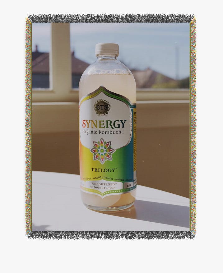 My Love for Kombucha - by damien maloney