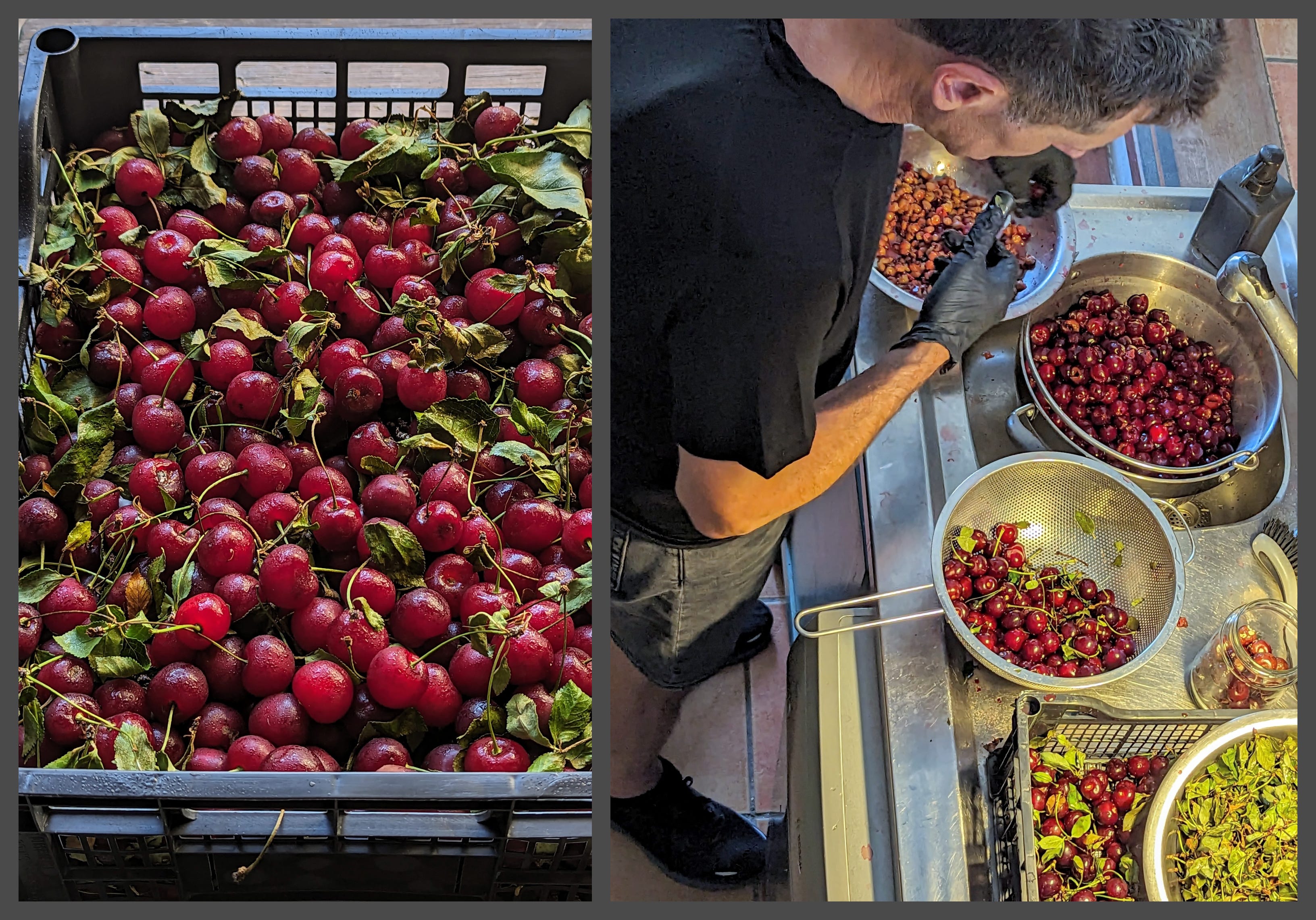 Cherry and Sour Cherry Preserves - by Aglaia KREMEZI