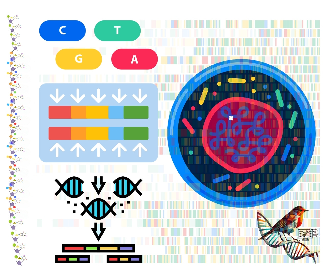 Antisense Oligonucleotides - Target Identification and Validation in ASO Development