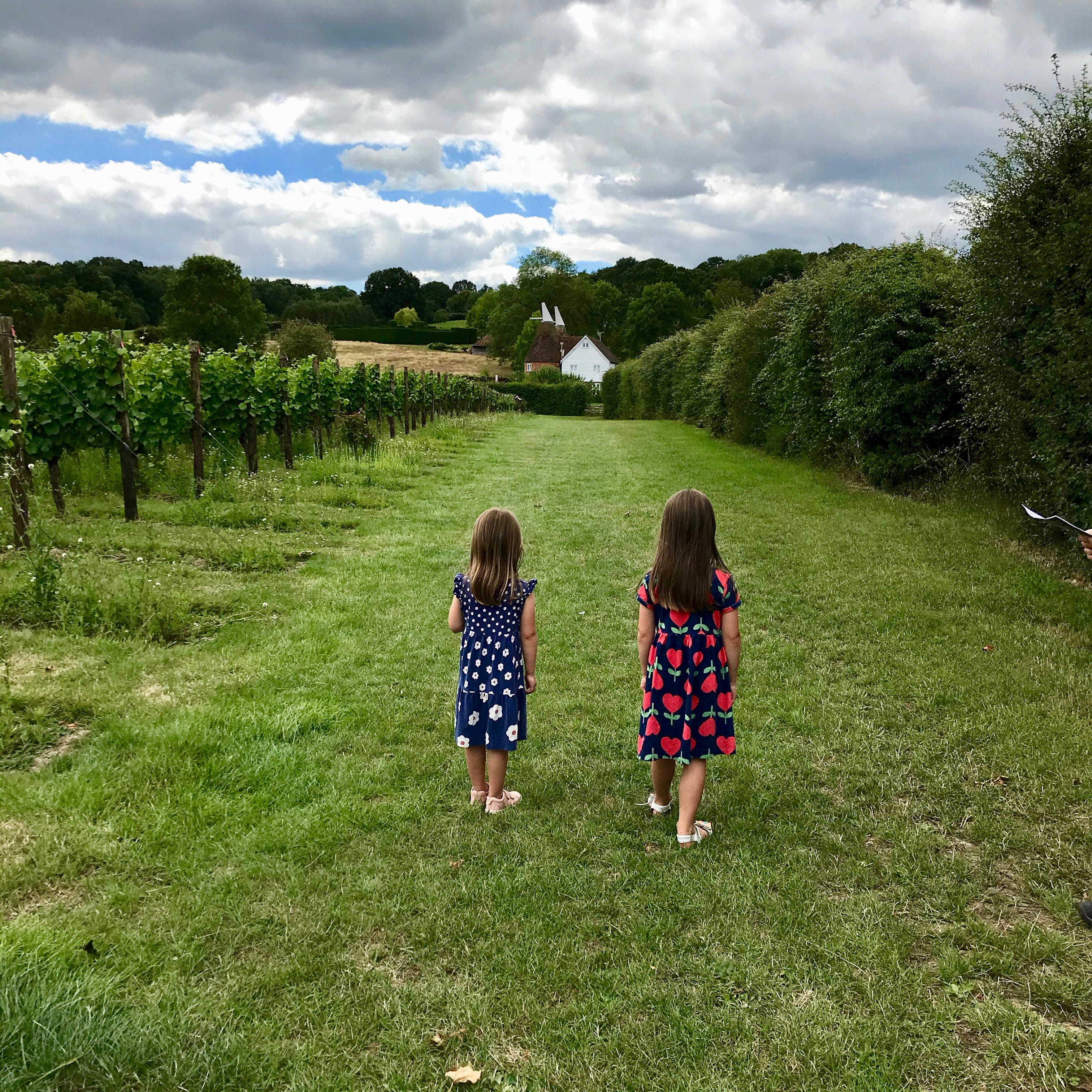 The best vineyards in England to visit - by Kerry Parnell