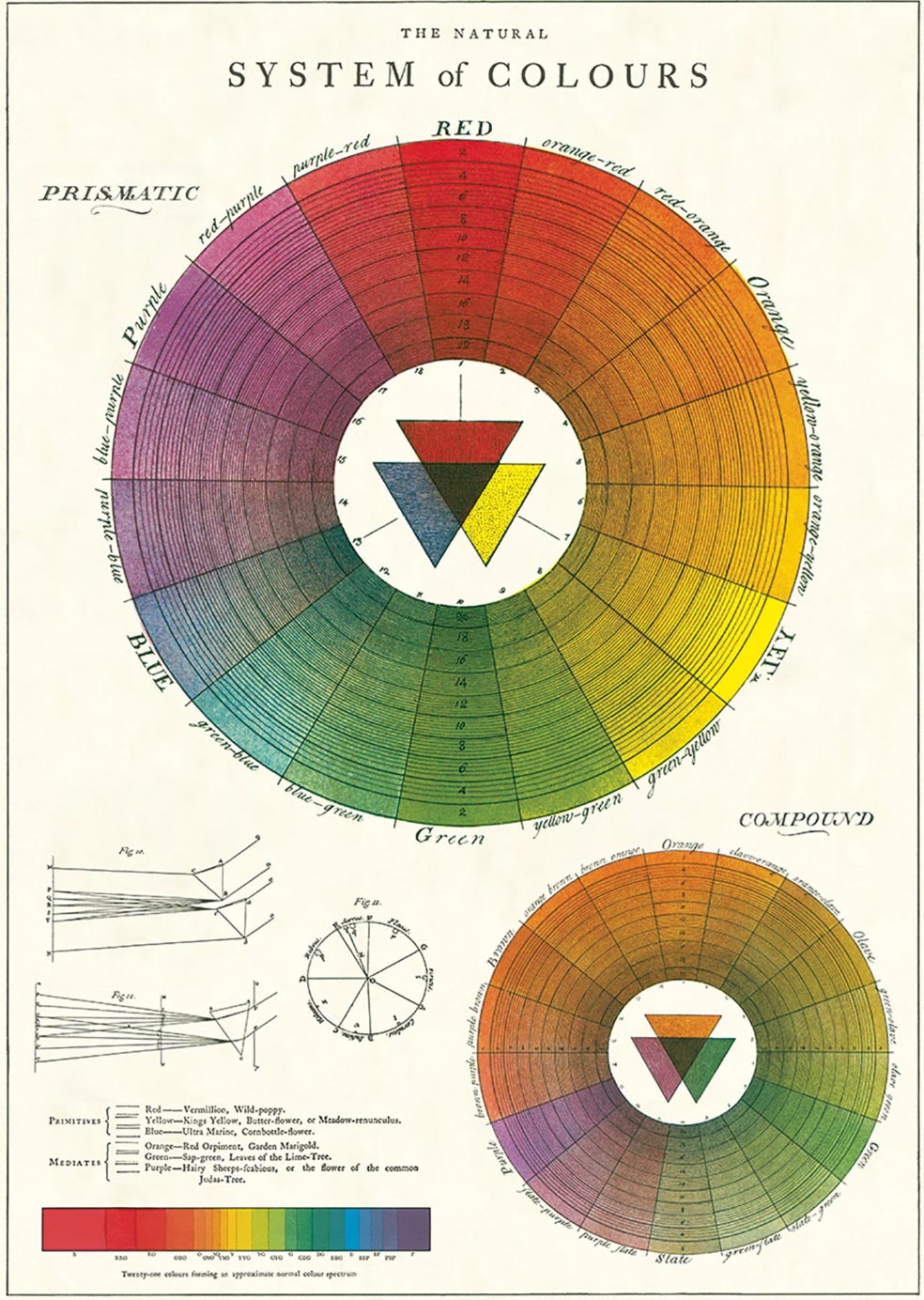 A Wider Spectrum of Color - by James Goldberg - Wayfare
