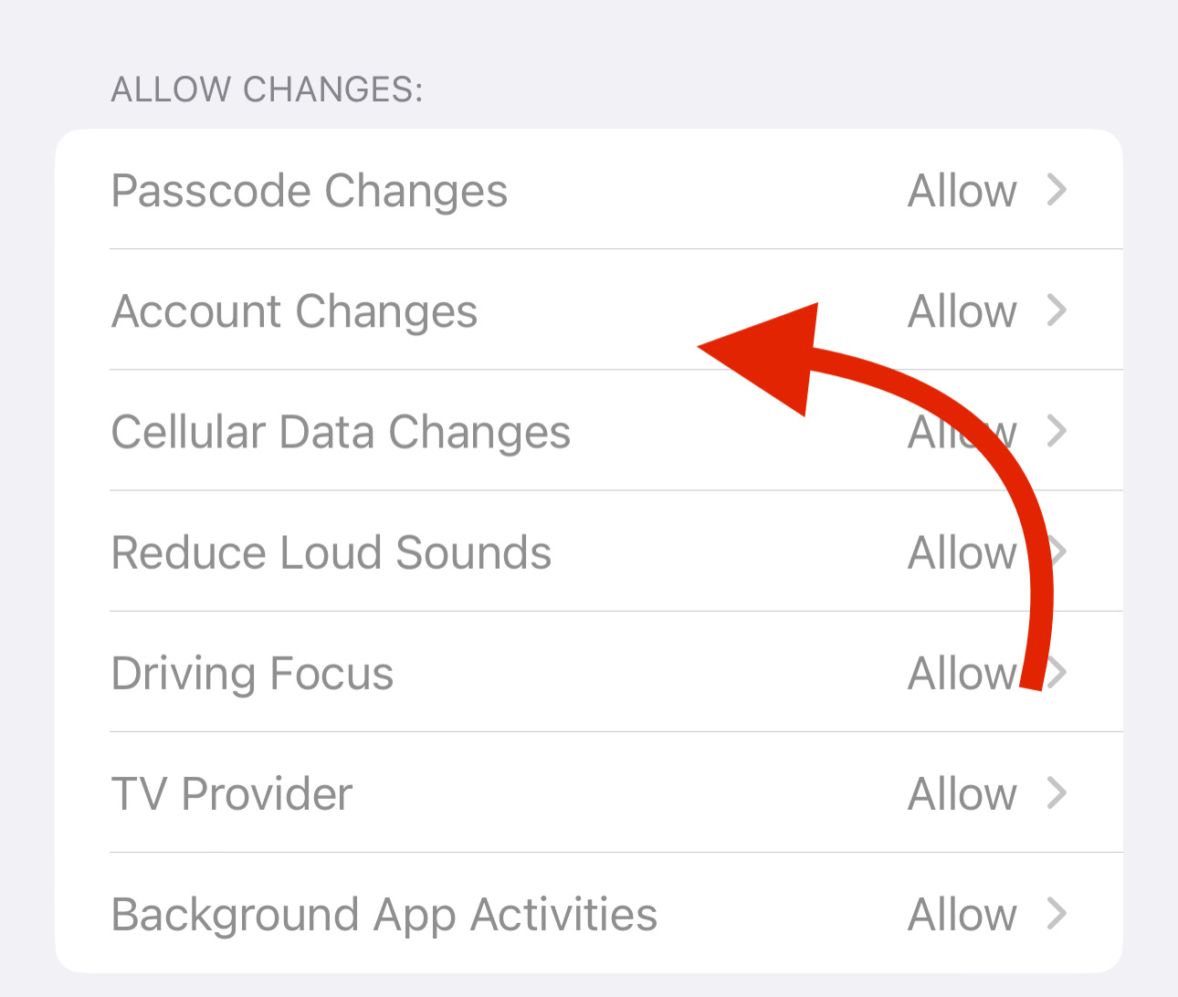 How to Protect your iPhone from unauthorized changes.