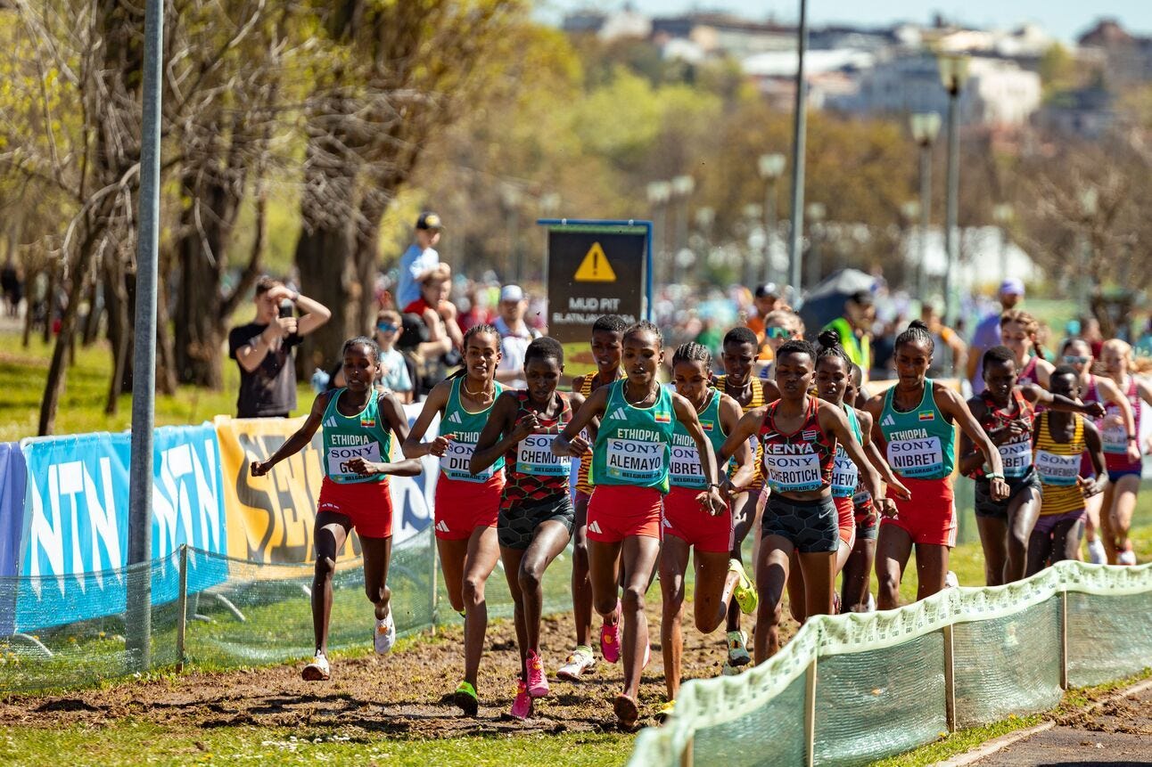 800m Training 101⏱ - The Lap Count