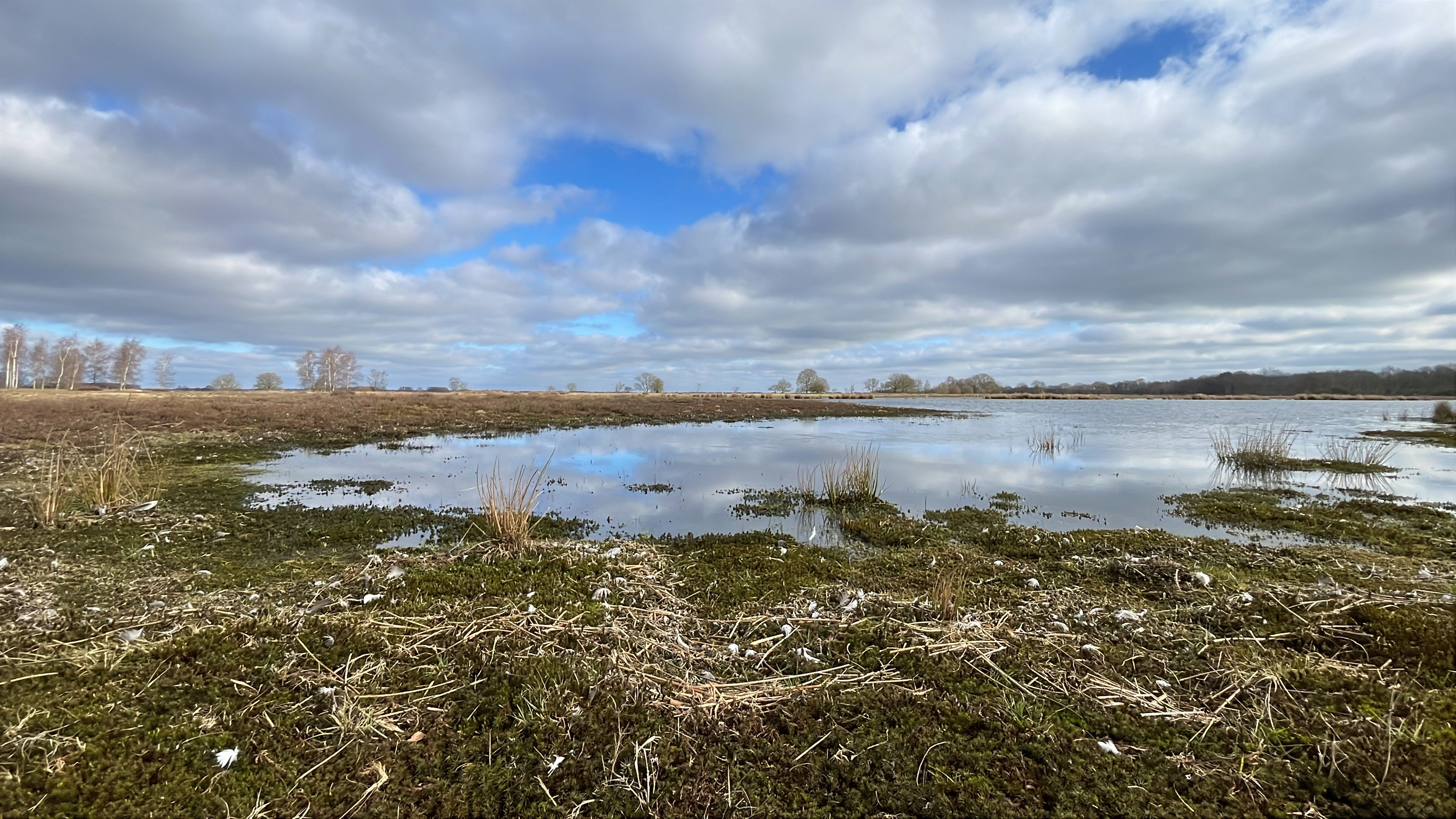 Swallowing Anger - Eva Lianne