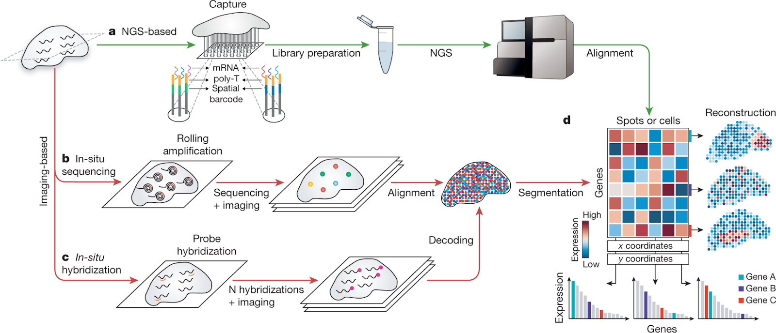 Landscape of Imaging-based Spatial RNA Technology: Part II