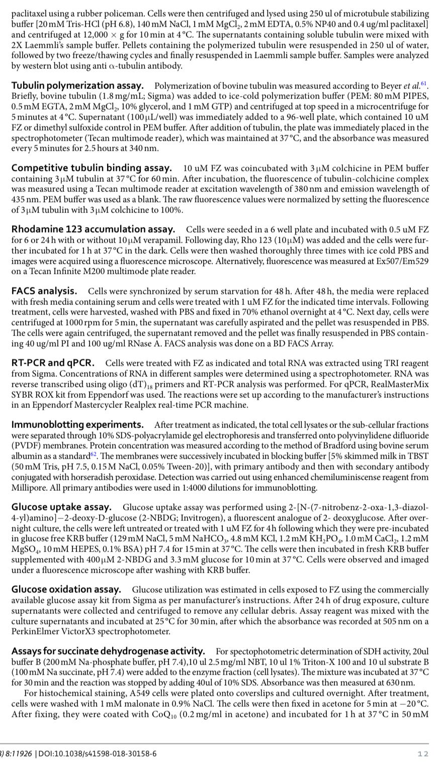 The Joe Tippins Cancer Protocol - by Dr Margaret Aranda
