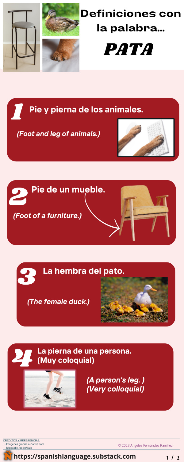 Uses and Expressions of the word "PATA" in Spanish. (#006)