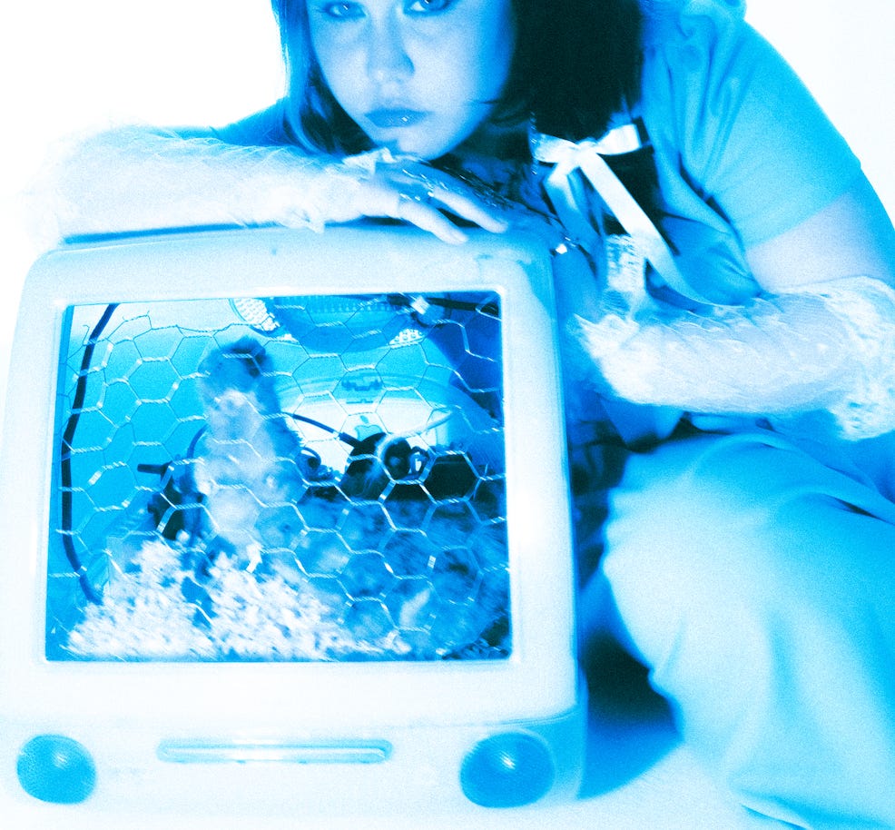 Penelope Scott | Substack