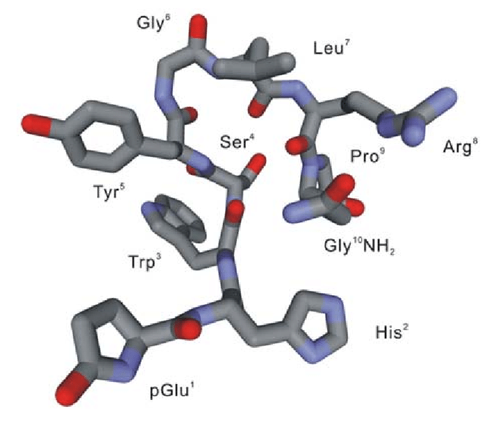 Puberty Blockers, Pituitary Tumors, and Pituitary Apoplexy (Death of ...