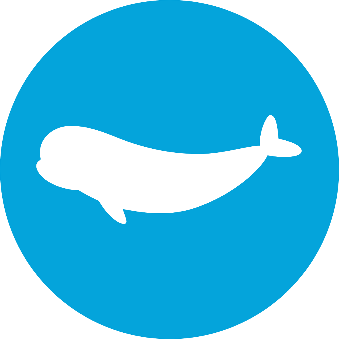 Beluga Hub | Substack