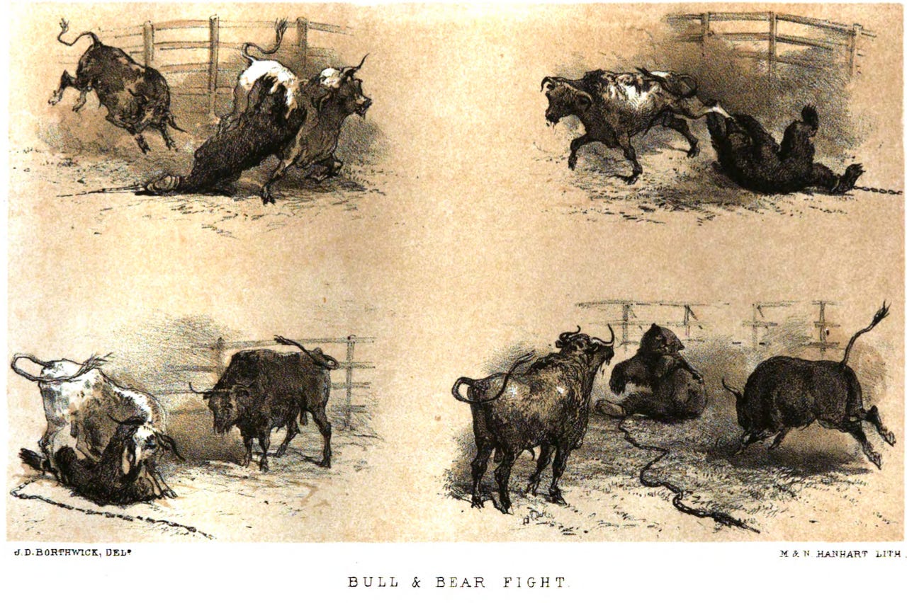 Bear & the Bull - History Unchained