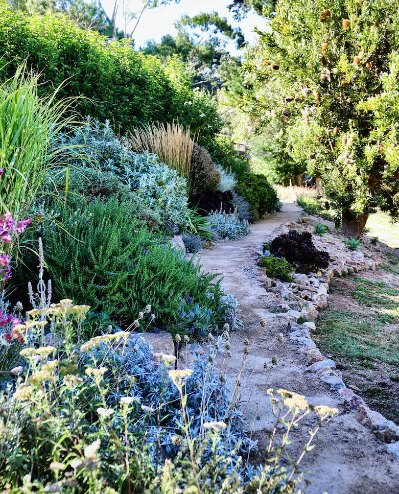 The Garden Gadabout - The Garden at Moorfield