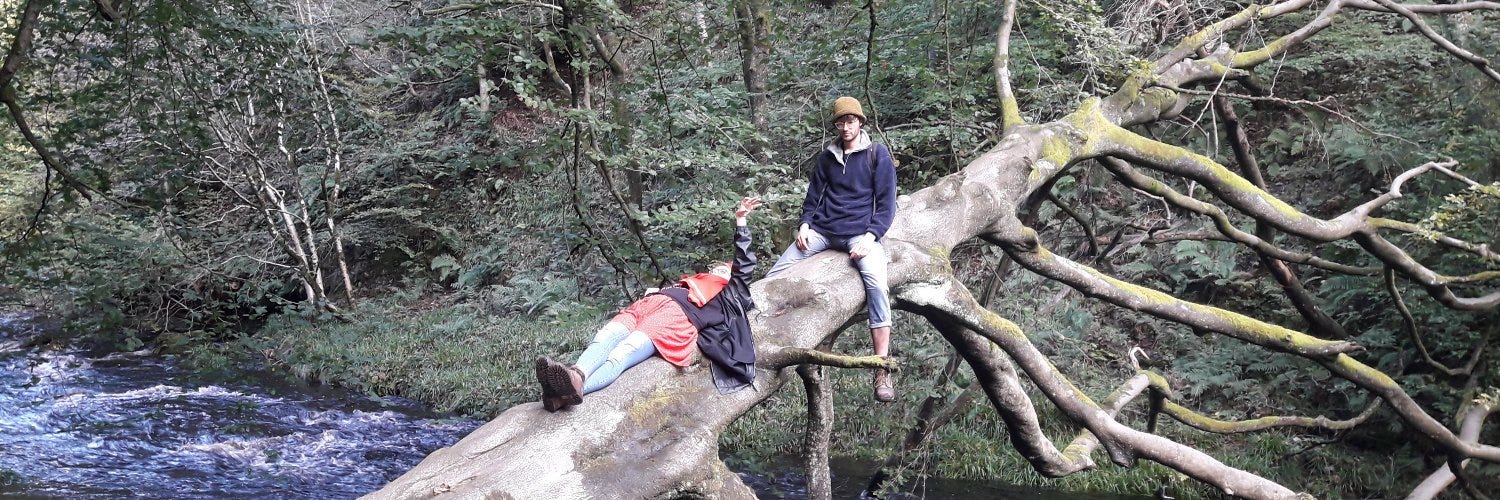 Greg Frey | Substack