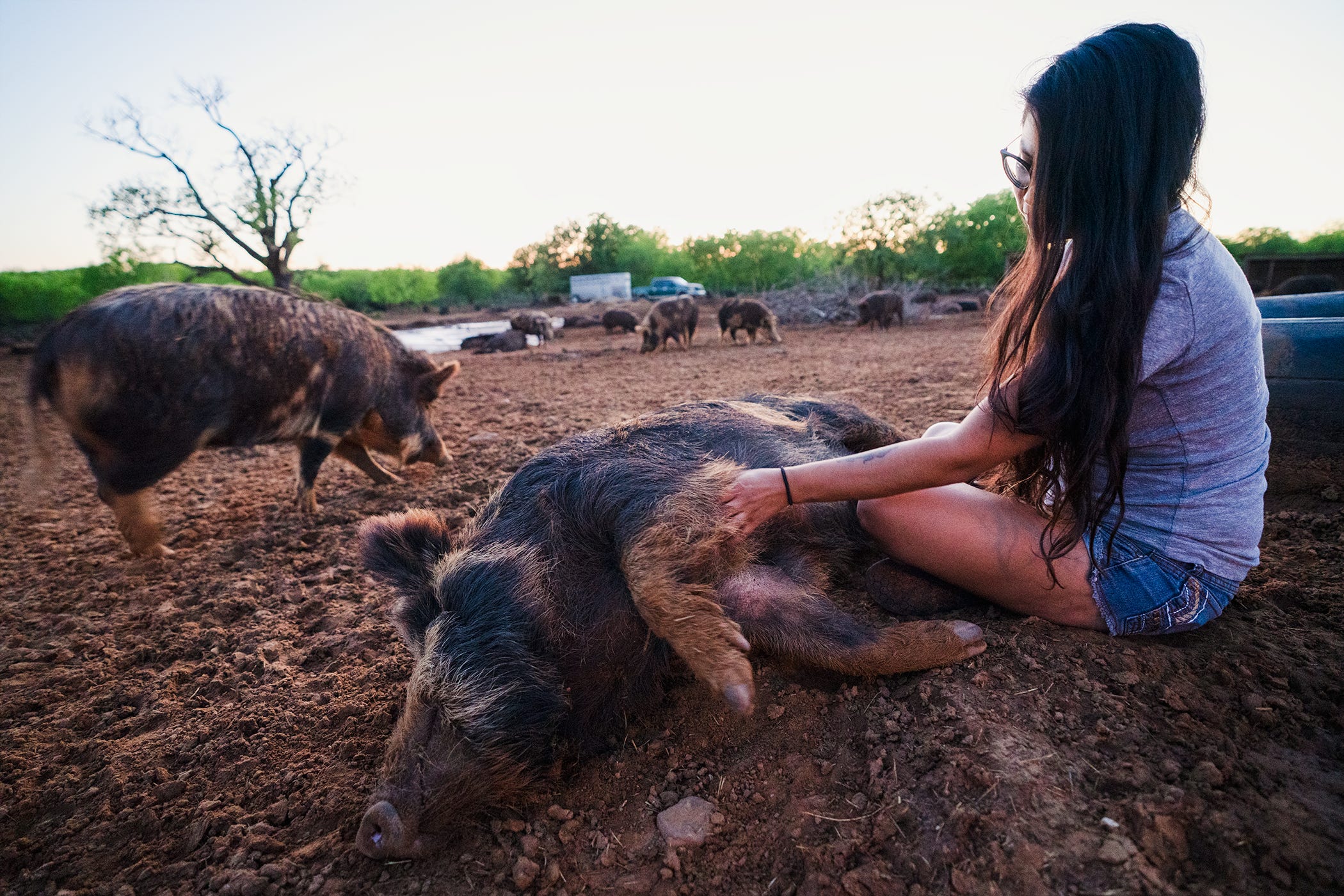 Wild Hog Bagging Sadists In Concan, Texas