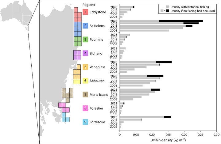 How Overfishing Became a Conservation Strategy in Australia