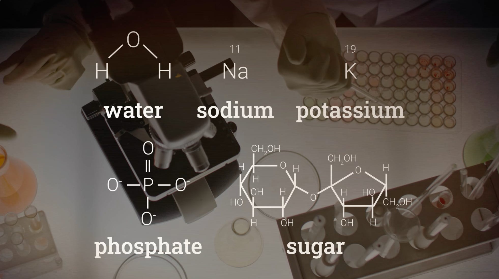 How Four Scientists Created Gatorade and Became Billionaires