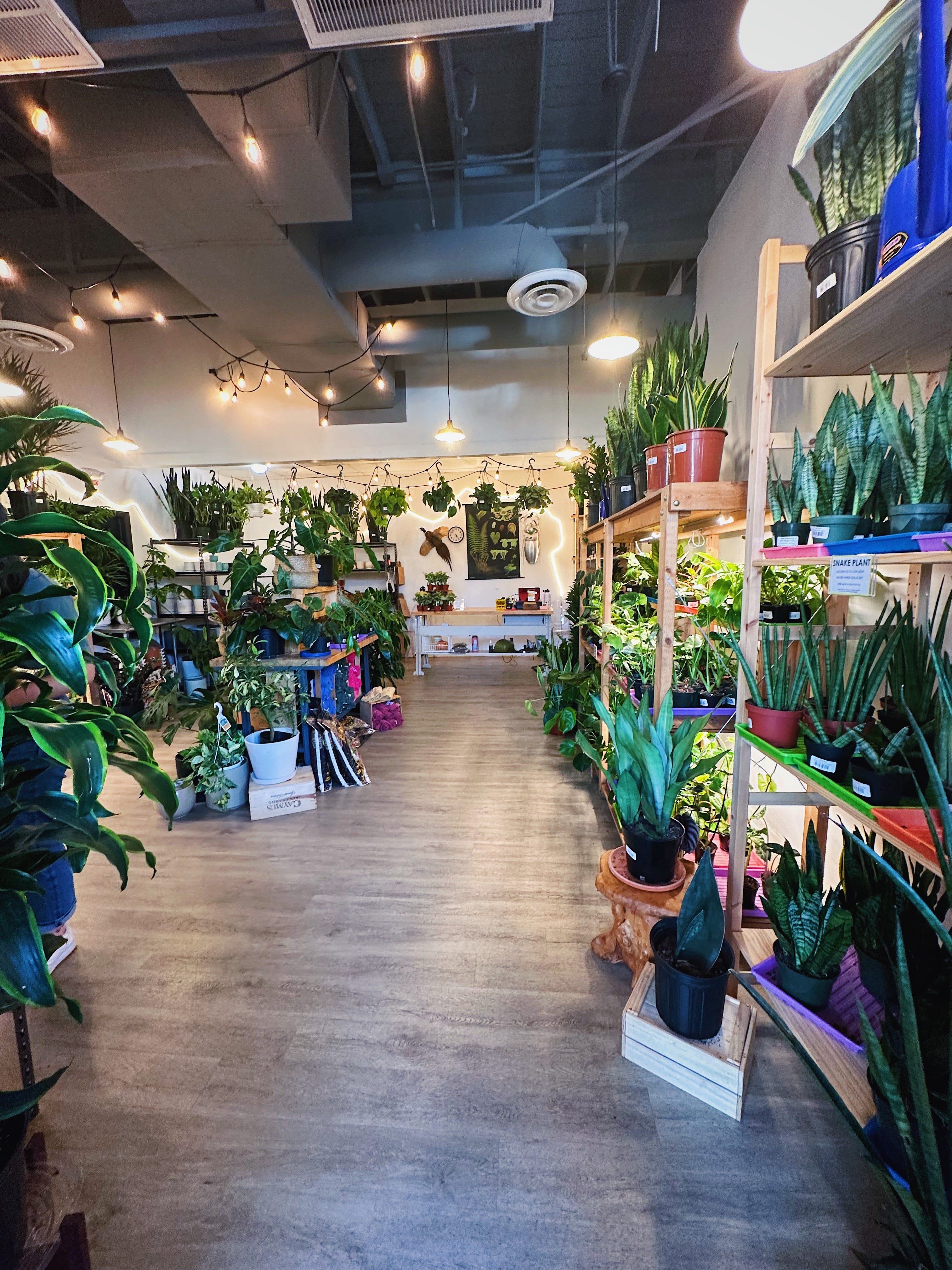 weekends out 'n' about - by Mae - Raleigh Bound