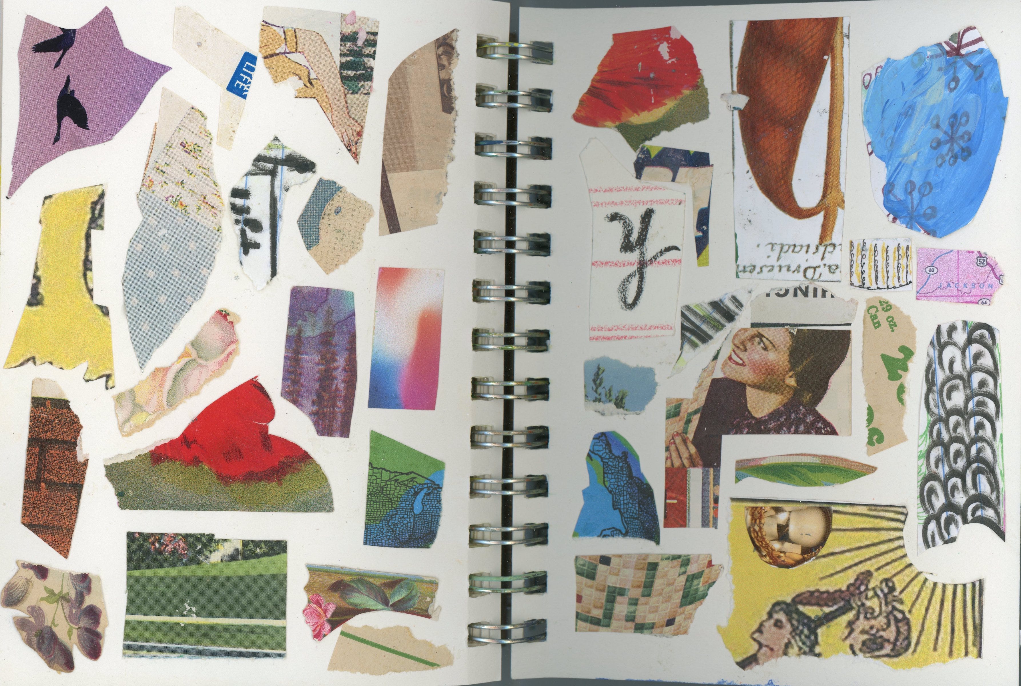 The world of color - by Sheri R Klein - Braided Streams