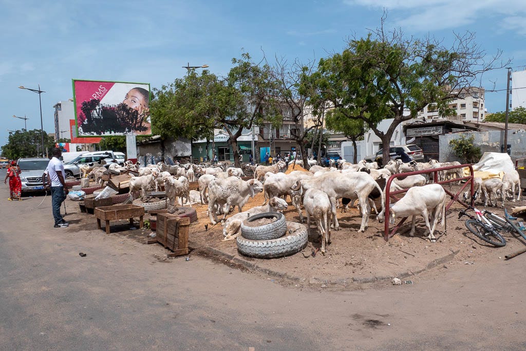 Walking Dakar (Senegal), part 1