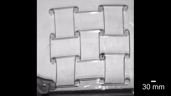 Transforming the Future of Aerospace: The Power of Shape-Shifting Materials