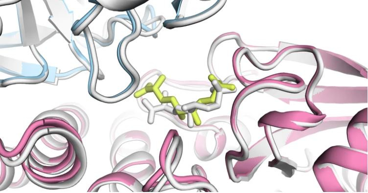 Techno-Optimist #4 - by Owen Lewis - Techno-Optimist