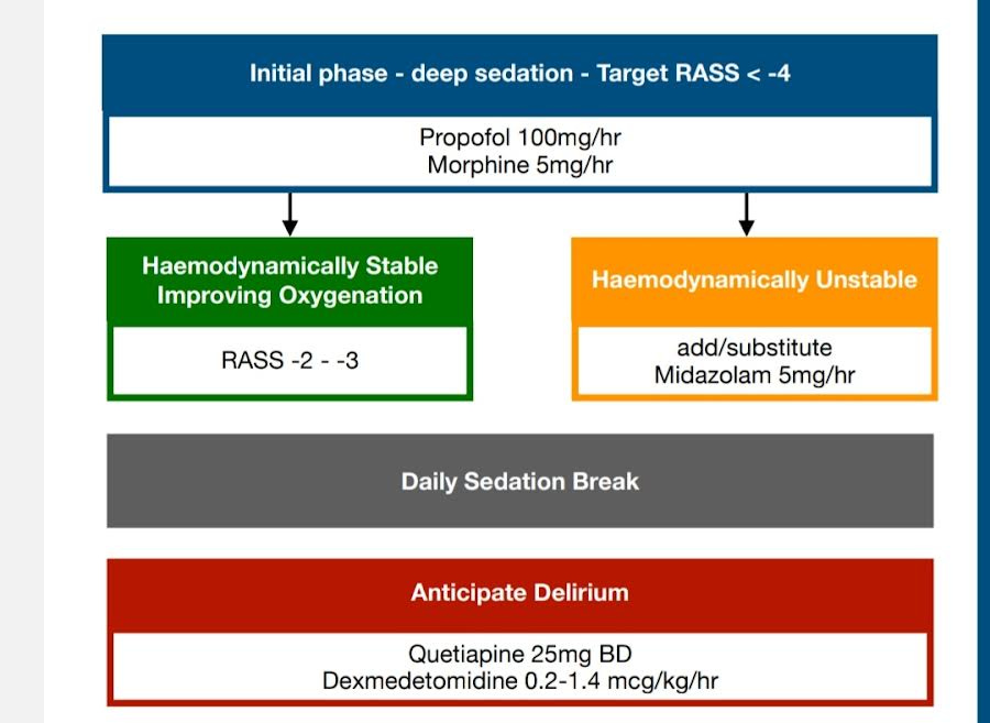 A LETHAL MIX: VENTILATORS, MIDAZOLAM AND MORPHINE