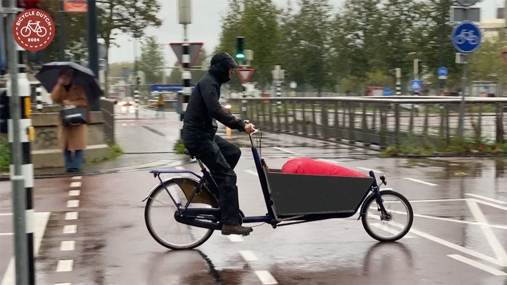 Dutchies are Dikes - by Avinash Shenoy - Off the Walls