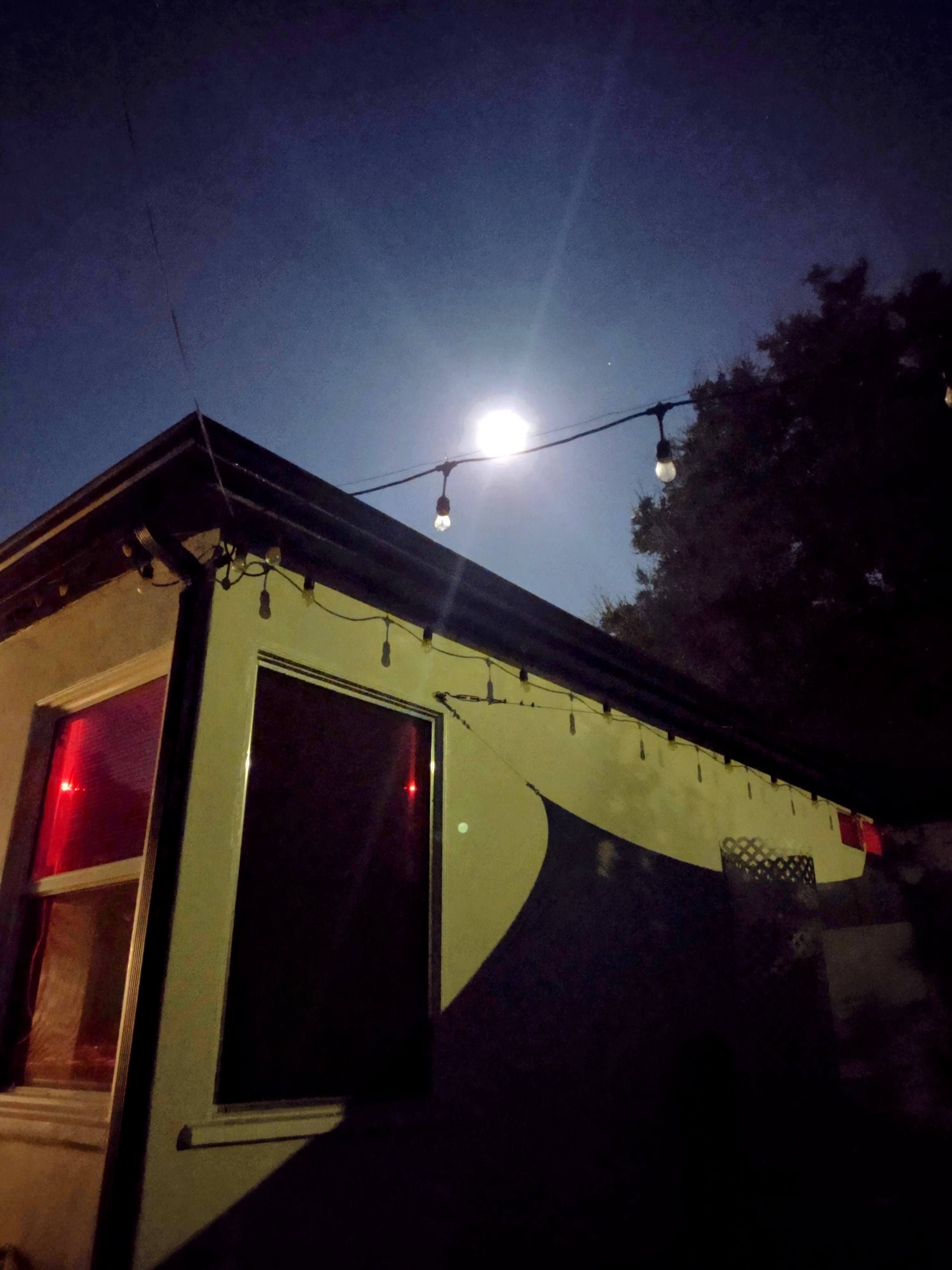 Big Small World - by Lynn Ferguson - Notes From The Valley