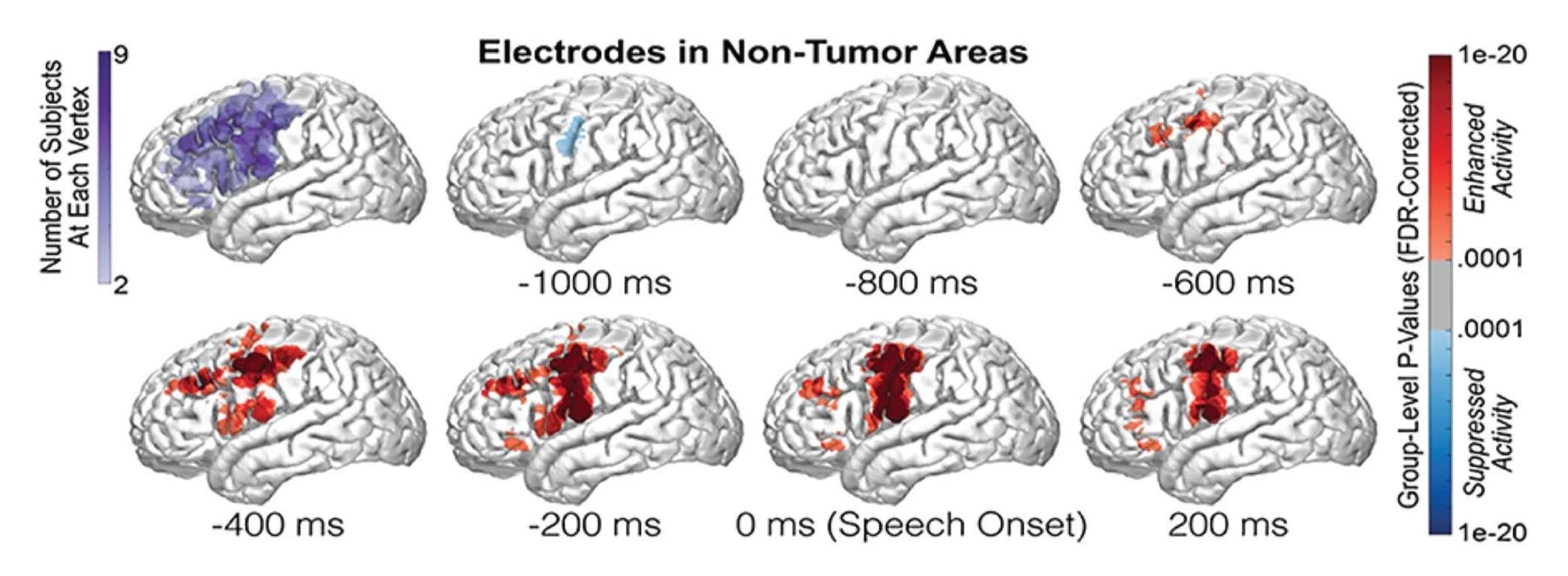 When thinking or talking promotes tumor growth