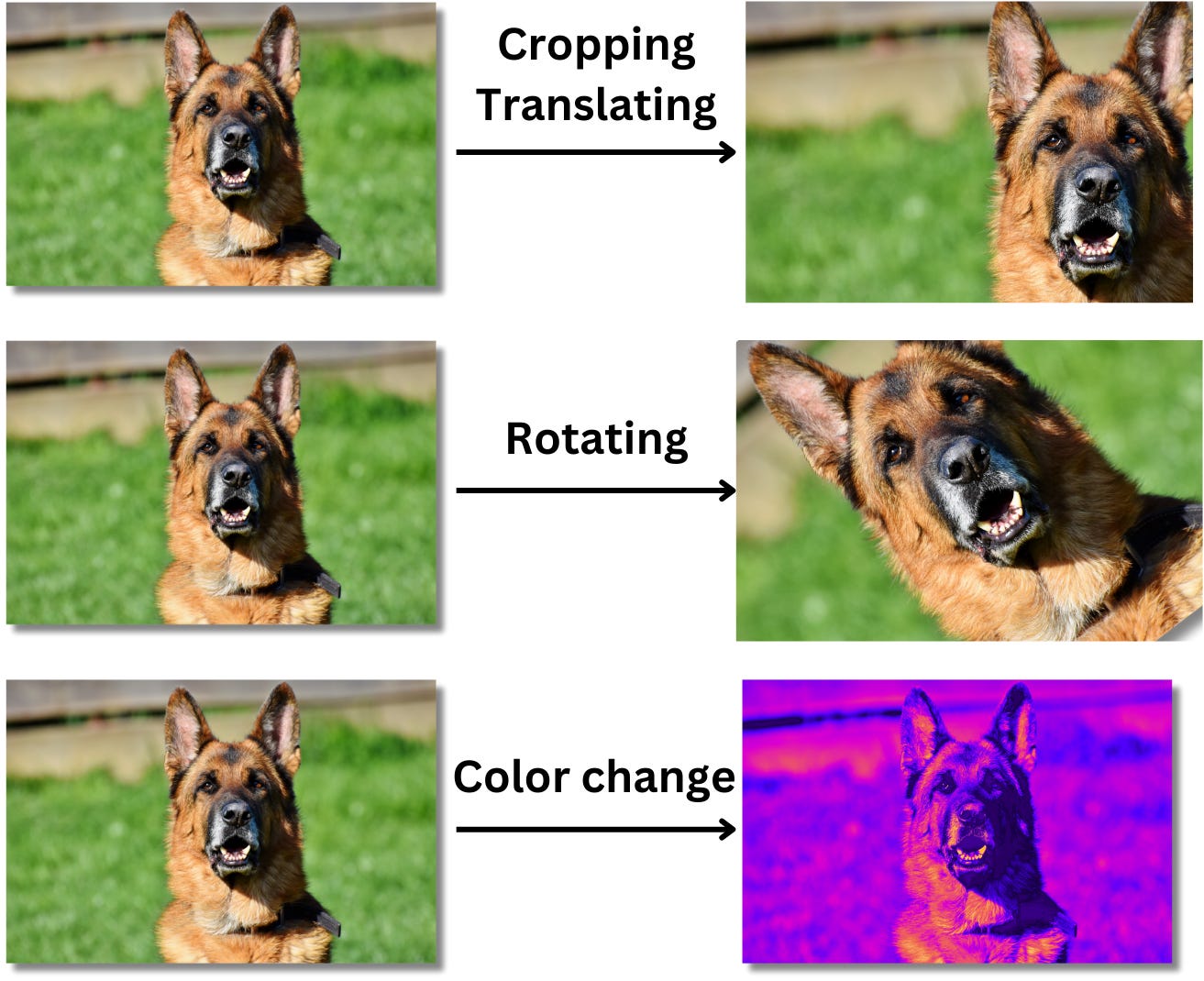 How to Build an Image Retrieval System like Google Images