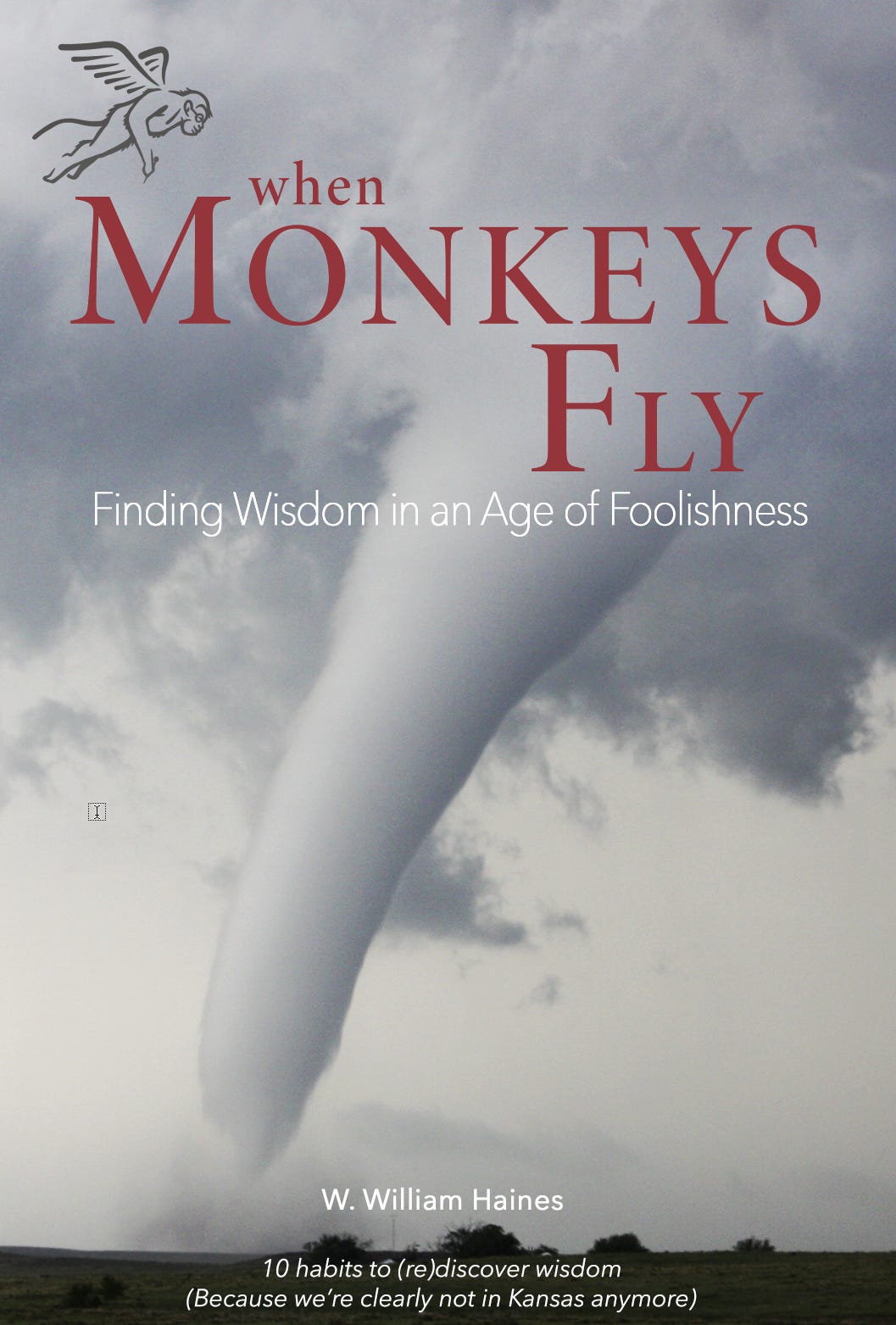 Introduction to When Monkeys Fly - by Bill Haines