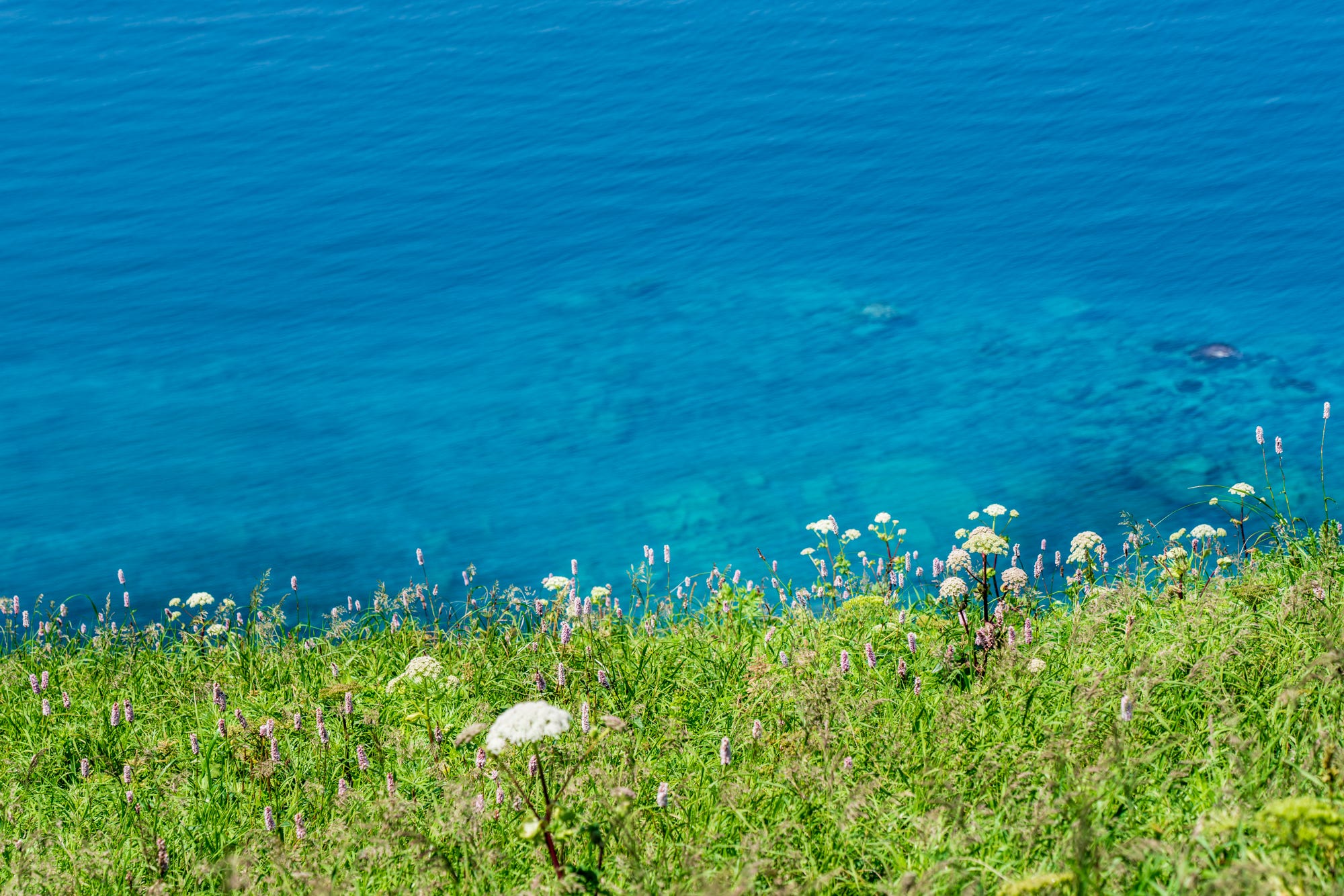 From Post-Apocalyptic Cities to Edenlike Islands: A Hokkaido Journey