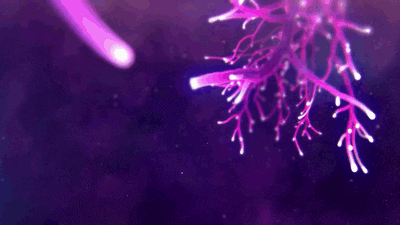 The Bittensor standard - Substack von Timo