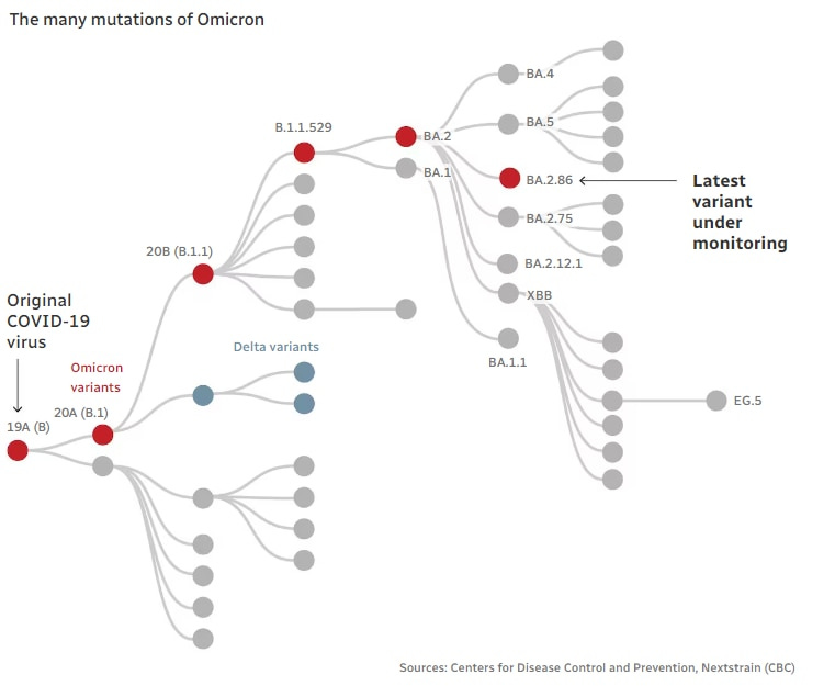 Winter Variant Prep: GVB or bust? - Dr. Syed Haider