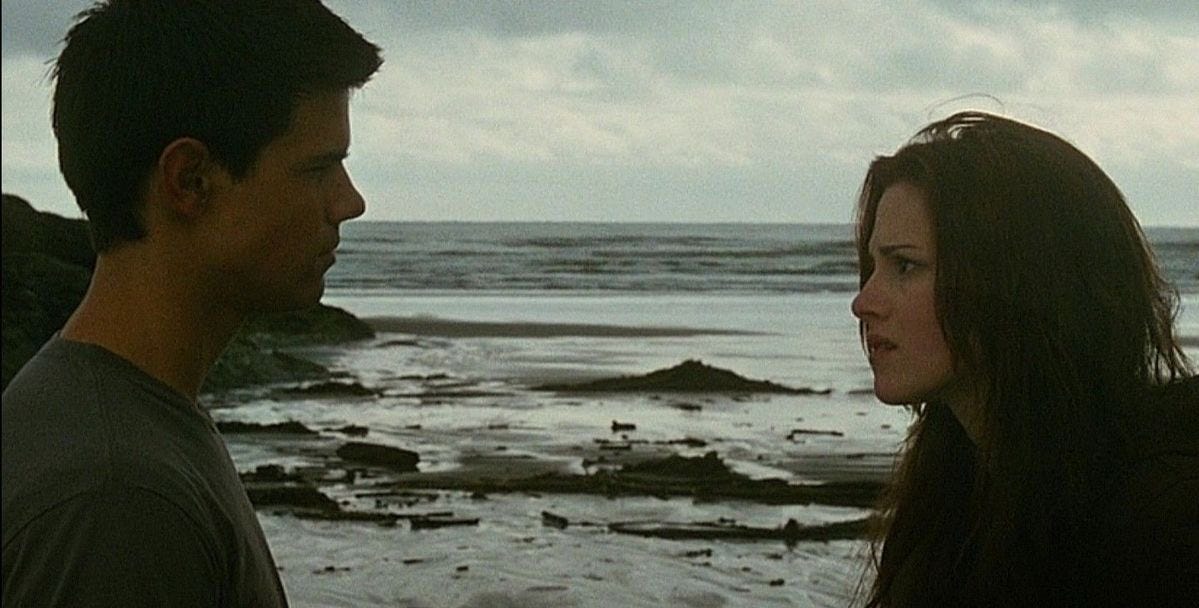 twilight: werewolves, vampires, and inequality