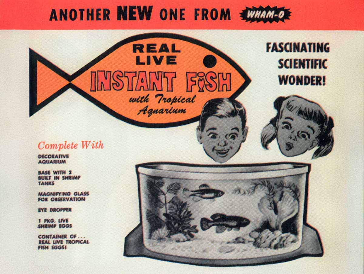 How African killifish almost became Wham-O's coolest toy of the 1960s