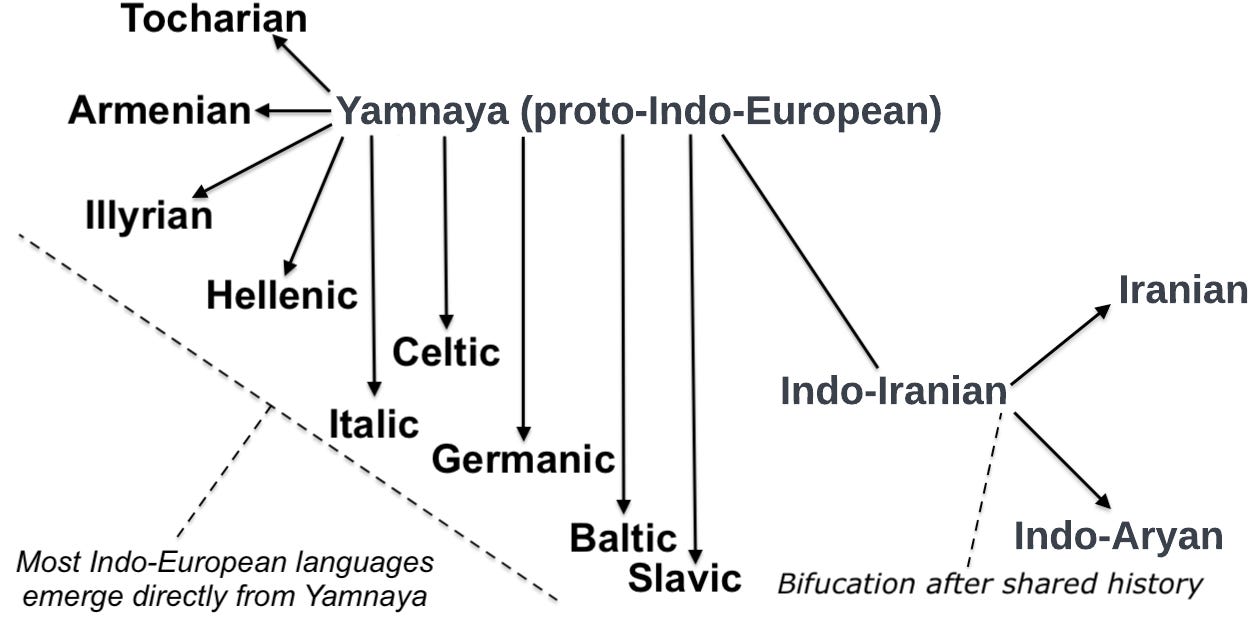 We are what we speak: Indo-European phylogenetic and linguistic trees ...