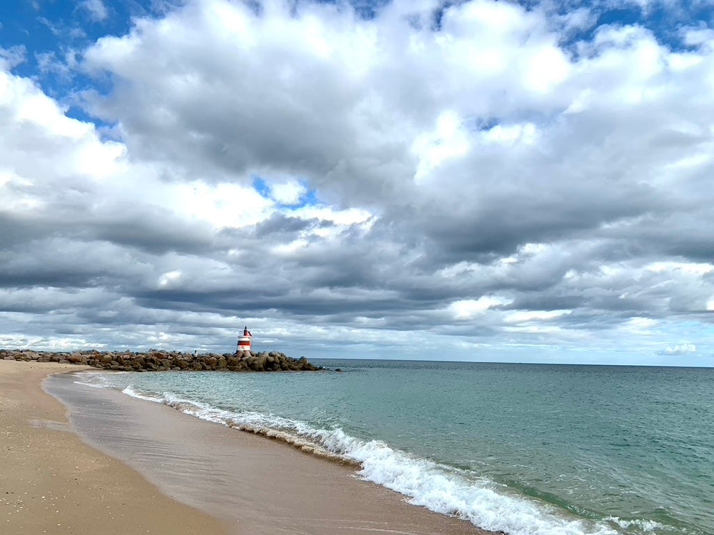 Terra Brooke | Substack